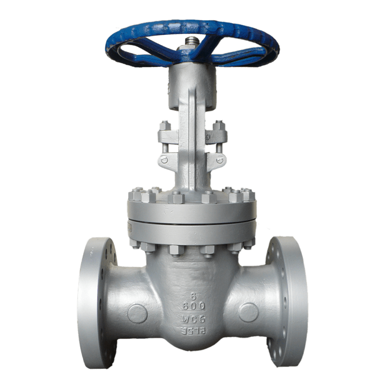 Extended stem gate valve - sedelon