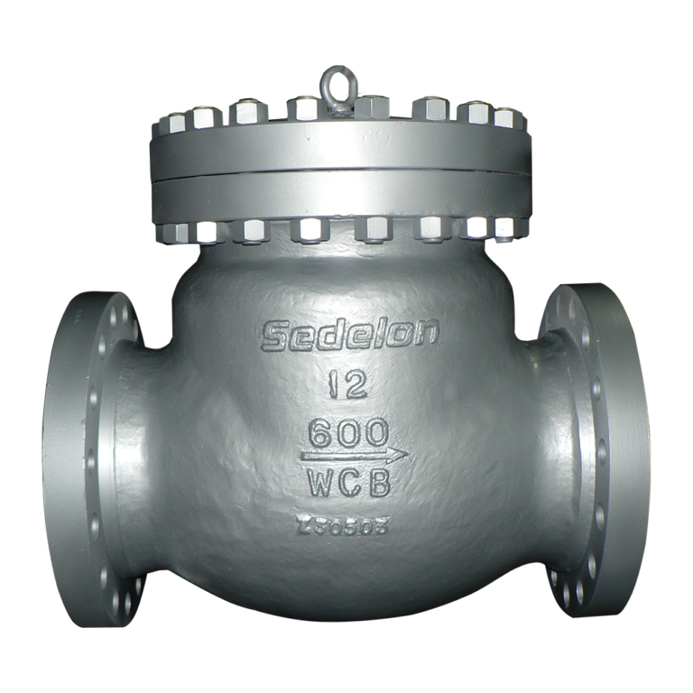 Industrial Flanged-check-valves | Sedelon