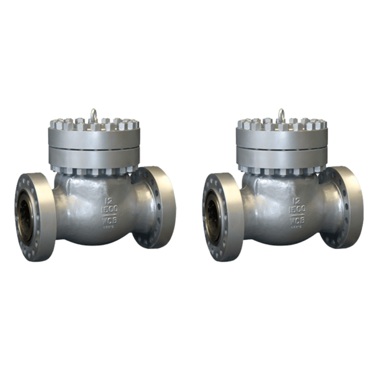 Industrial Low-emission-check-valves | Sedelon