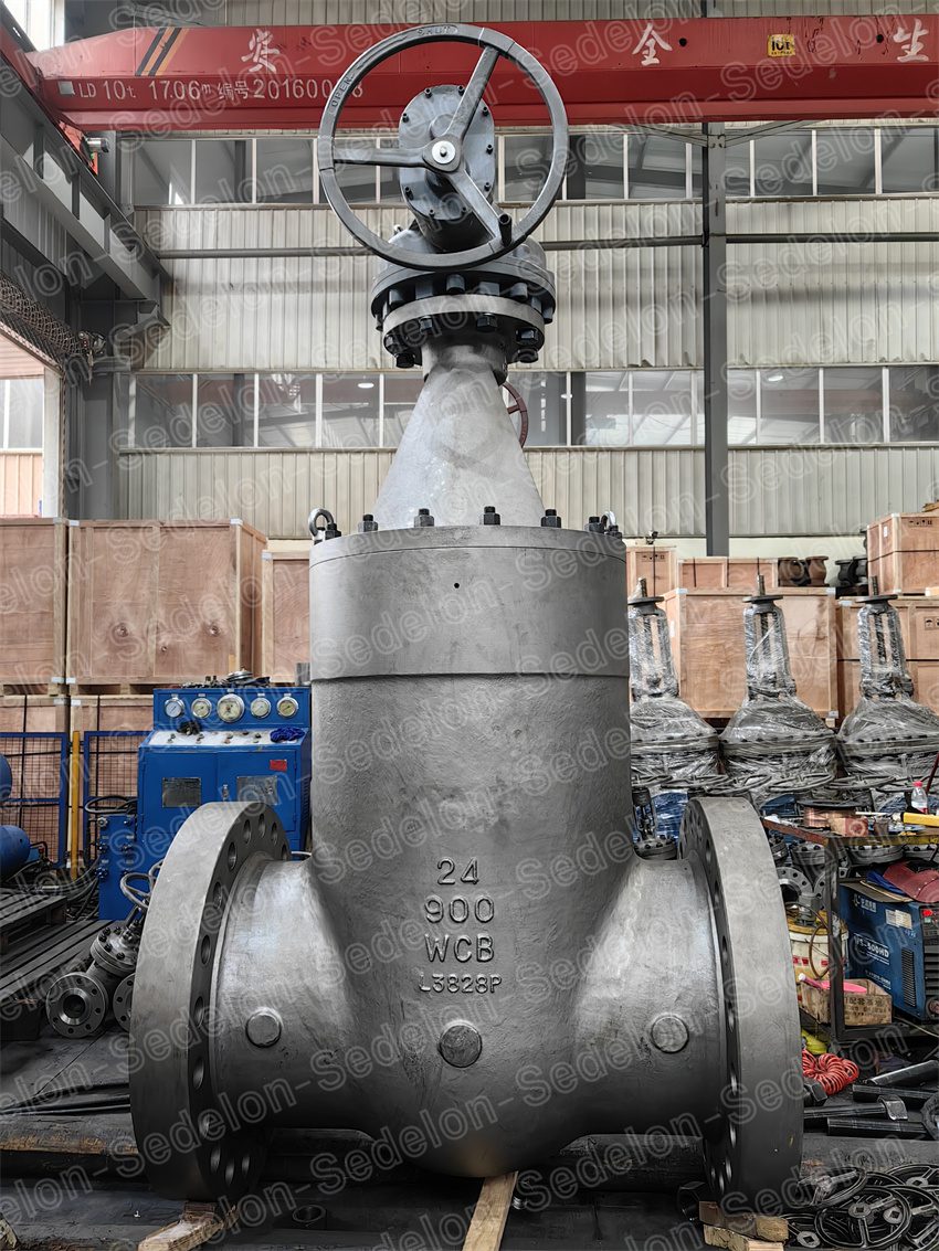 Sedelon Double Disc Parallel Slide Gate Valve | Sedelon