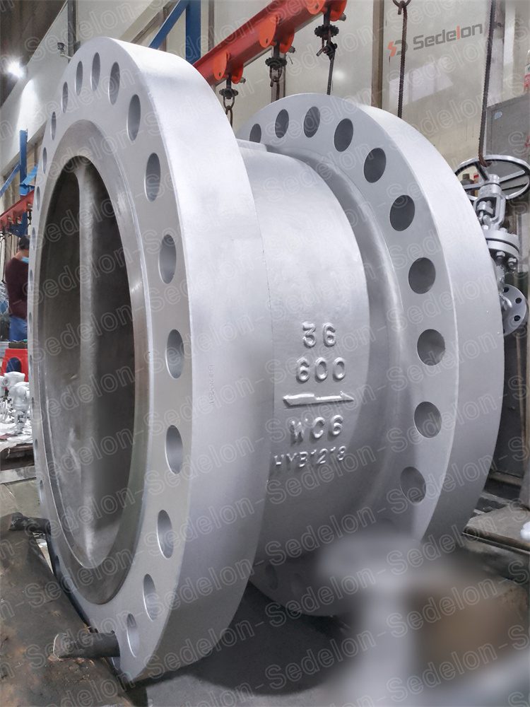 Sedelon Large Size Dual Plate Check Valve – Efficient Design